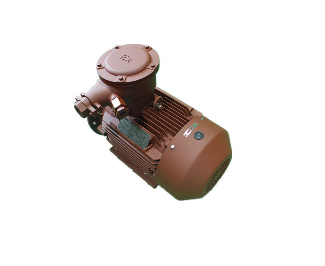 315L1-2-160kW Explosion Proof Electric Motor YBX3 2 Pole 3 Phase Motor