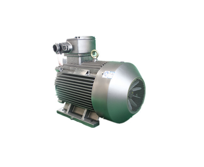 IMB3 55kW Explosion Proof Electric Motor YBX3 250M-4 Industrial 3 Phase Motors