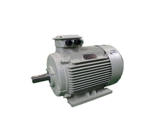 11KW 10 Pole 12 Pole Low Voltage 3 Phase Motor YE3 160M1-2 2950RPM