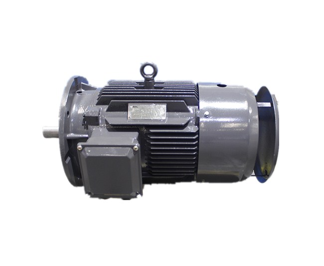 YE3 180L-4 Low Voltage AC Asynchronous Motor 22kW 41.8A