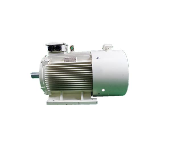 IP55 Class F Low Voltage 3 Phase Motor YVFE3 132S1-2 IMB3 Mounting